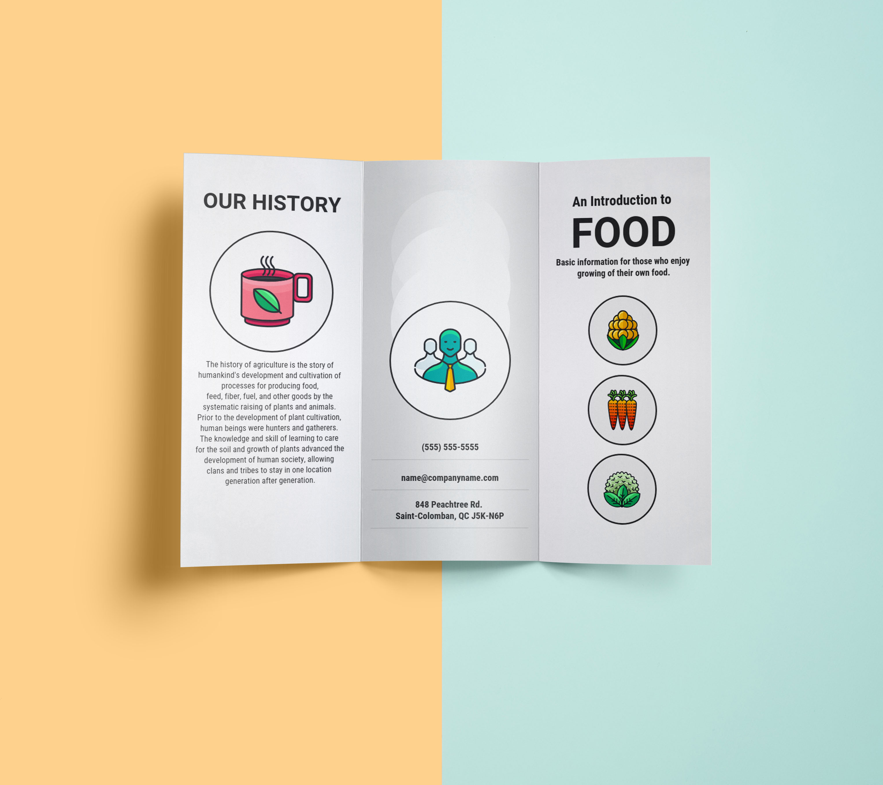 35 Marketing Brochure Examples Tips And Templates Venngage
