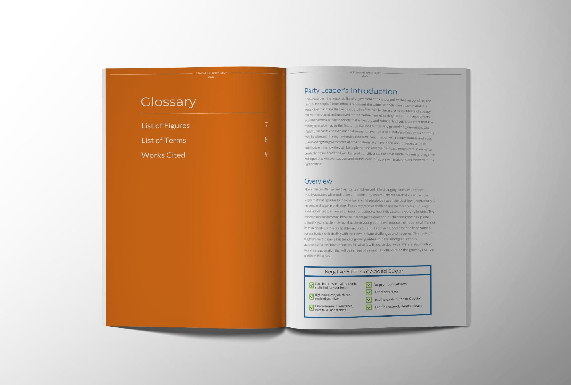 20 Page Turning White Paper Examples Design Guide White Paper 
