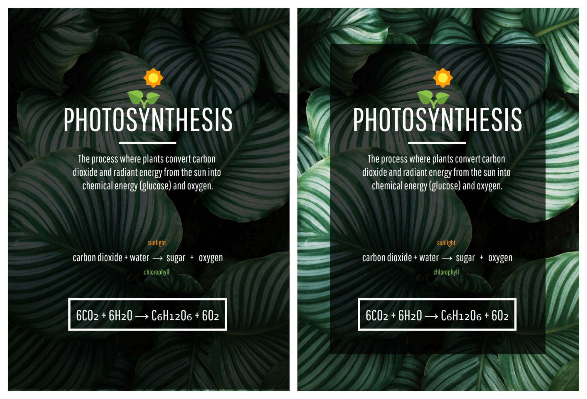 10 Ways to Incorporate Stock Photos Into Your Designs [Easy Design Tips ...