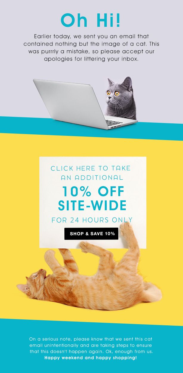 Engaging Email Newsletter Templates And Design Tips Venngage