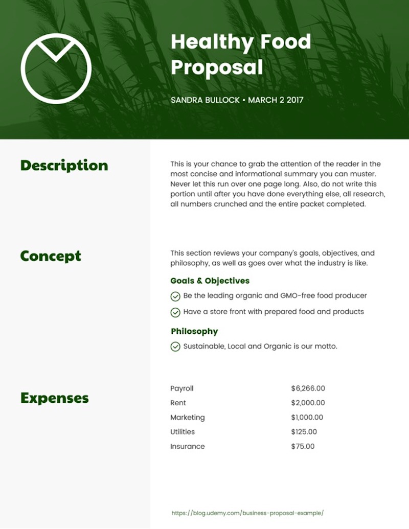 Business Proposal Sample Pdf HQ Template Documents
