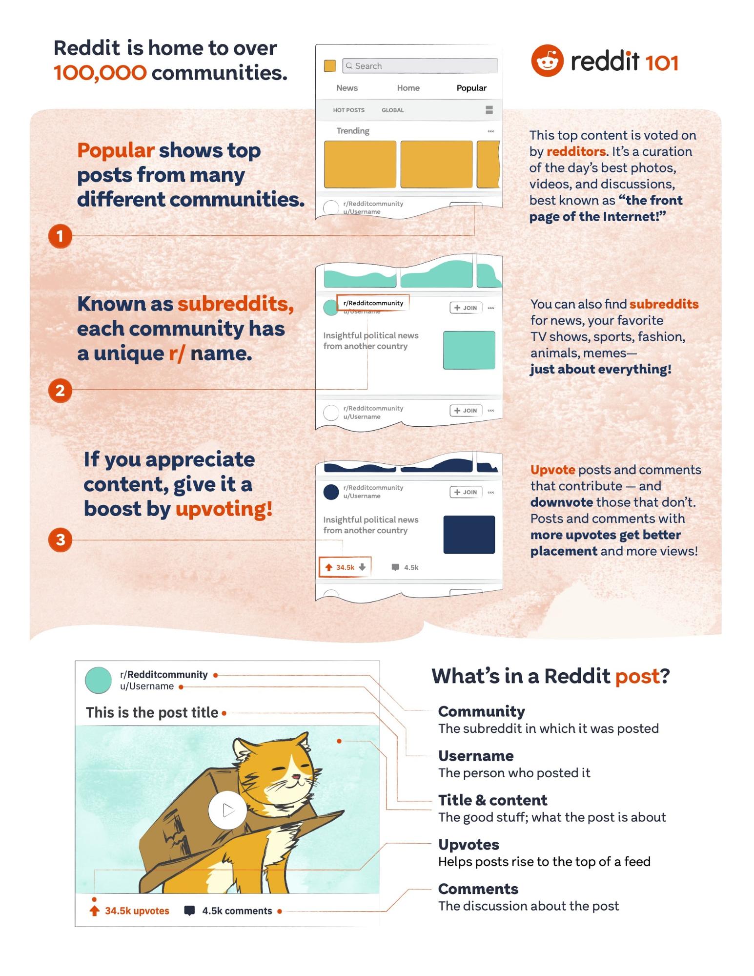 Brand Guidelines Templates Examples Tips For Consistent Branding My