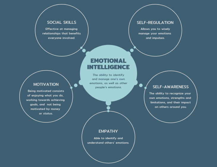 What is a Spider Diagram & How to Use It? - Venngage