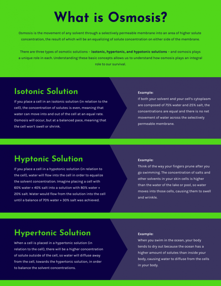 12 Scientific Poster Examples [And How To Create One] - Venngage