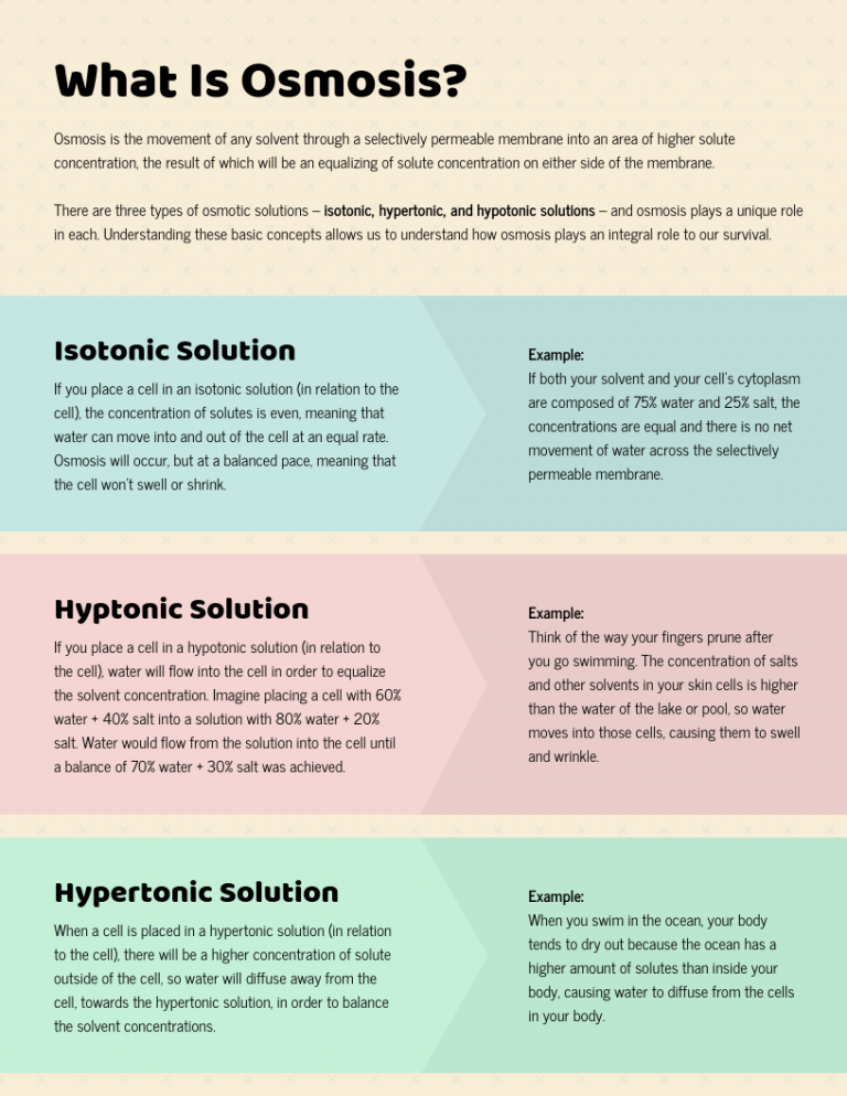 12 Scientific Poster Examples [And How To Create One] - Venngage