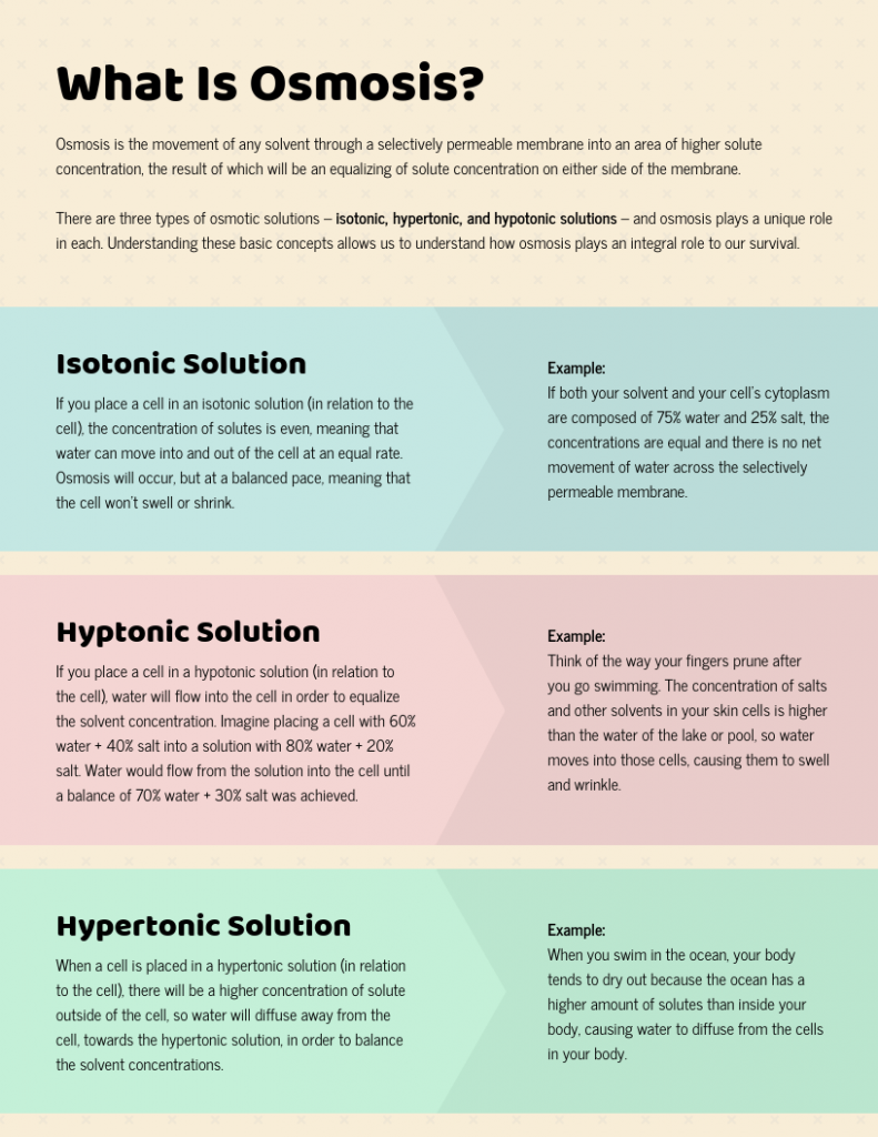 12 Scientific Poster Examples [And How To Create One] - Venngage