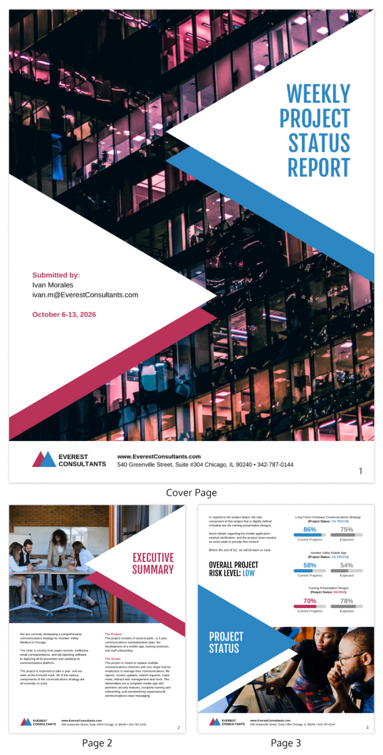 13 Project Status Report Templates for Businesses - Venngage