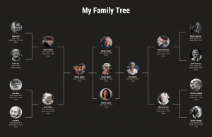 How to Make a Family Tree Diagram (+ Examples) - Venngage