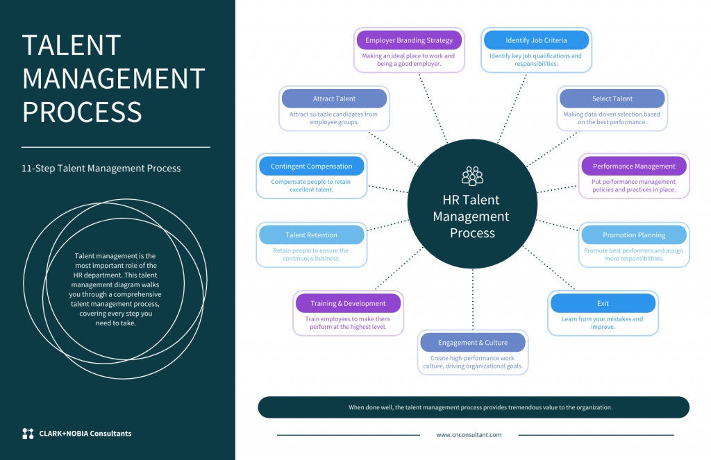 Talent Management: A Complete Guide [2025] - Venngage