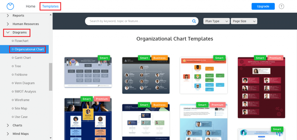 What Is An Organizational Structure? [+Tips And Examples] - Venngage
