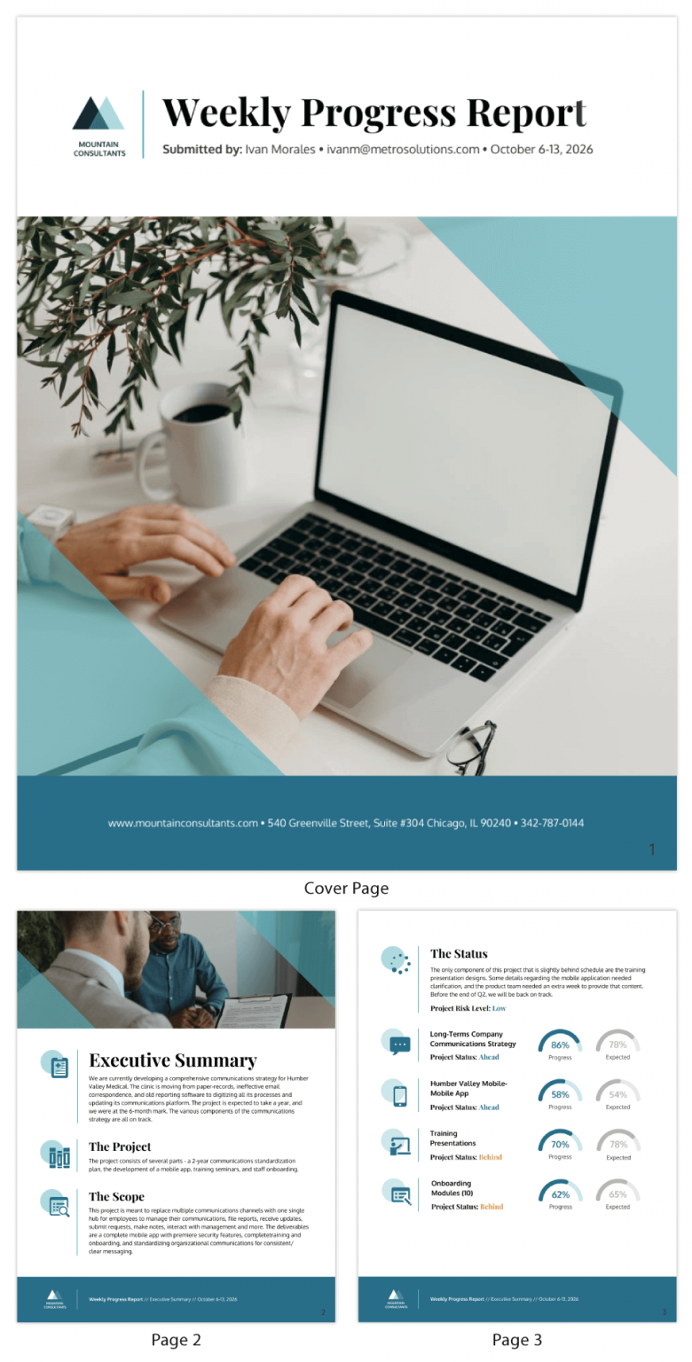 How to Write a Professional Progress Report - Venngage