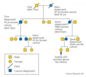 10 Genogram Examples and How-to Create Them