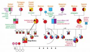 10+ Genogram Examples (and How to Create Them) - Venngage