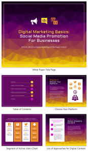 White Papers: Format, How-to write It and Design Tips