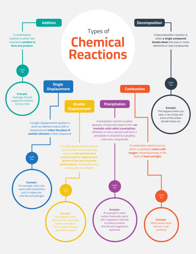 10+ Concept Map Examples to Showcase Your Ideas - Venngage