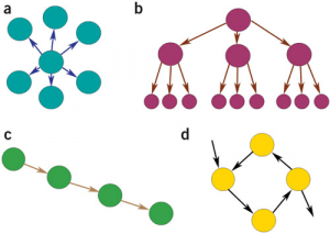 Concept Mapping: A Complete Guide - Venngage
