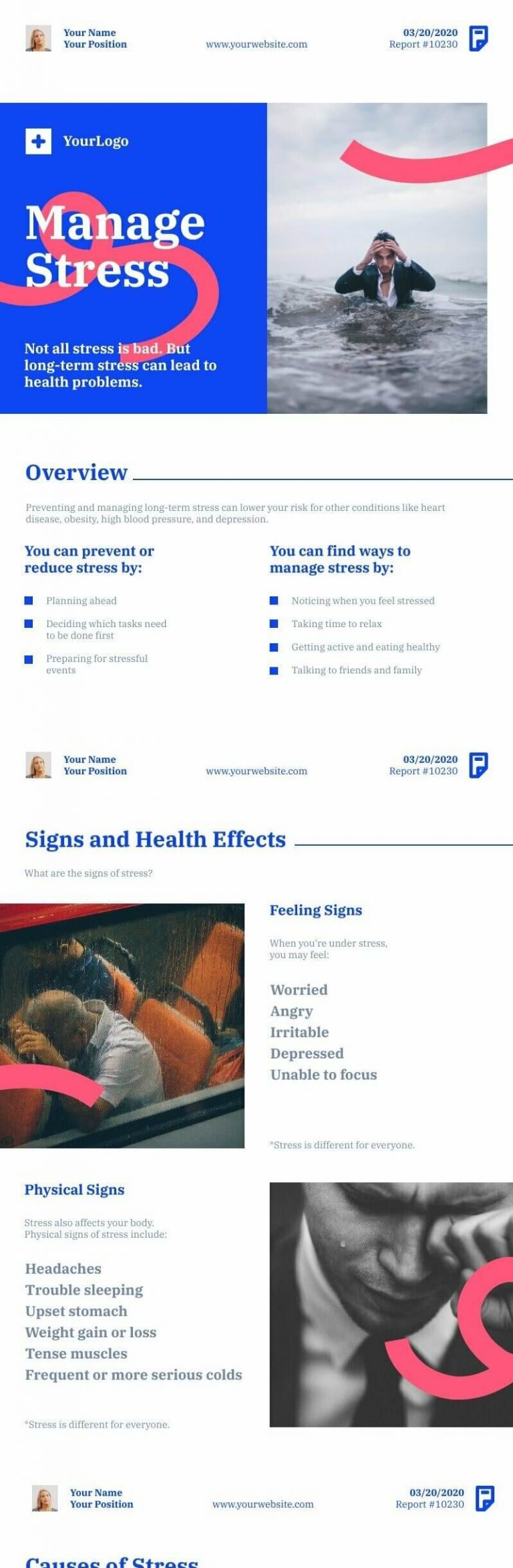 5 Best Report Creator Tools for Businesses in 2024 | Venngage