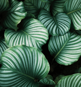 25+ Business Background Images, Templates and Design Tips - Venngage