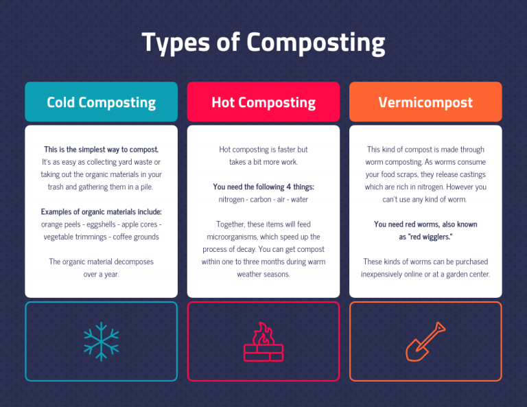 30+ Comparison Infographic Templates to Visualize Products - Venngage