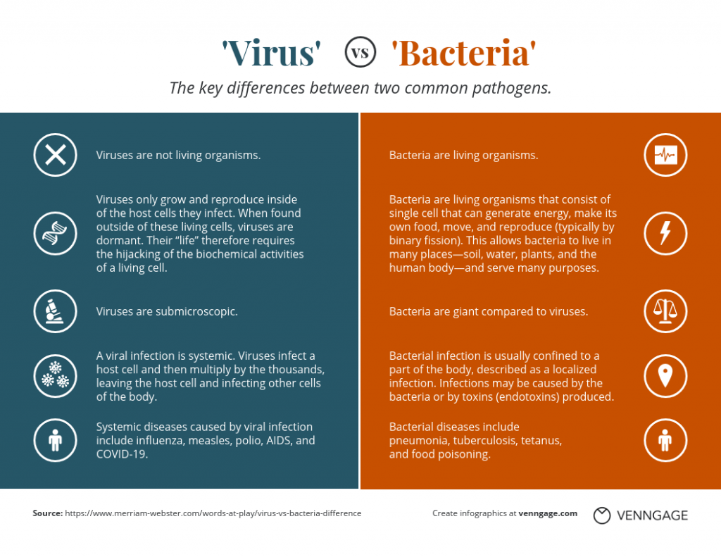20 Comparison Infographic Templates to Visualize Products - Venngage