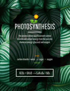 How to Apply the Right Layout To Your Poster - Venngage