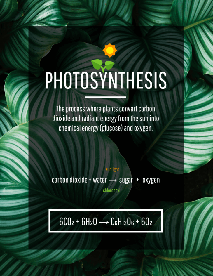 How to Apply the Right Layout To Your Poster - Venngage