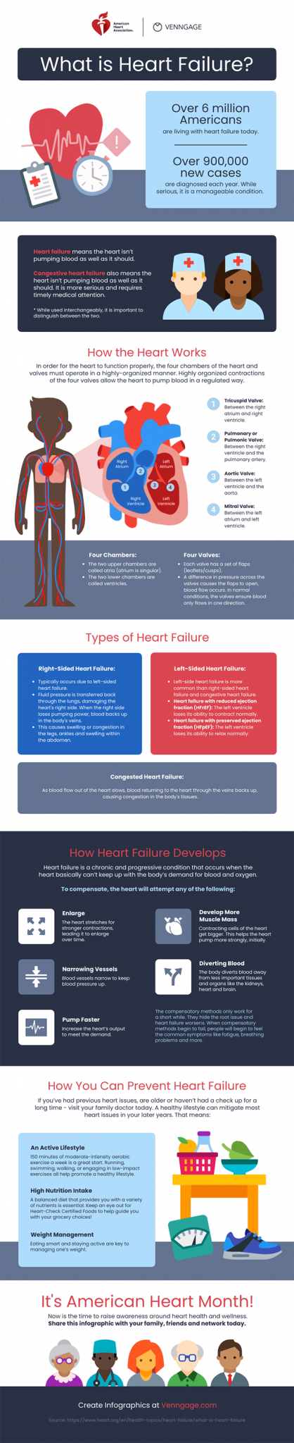 Infographic Elements: How to Piece Together the Perfect Infographic
