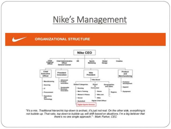 20 Organizational Chart Examples (2025) - Venngage
