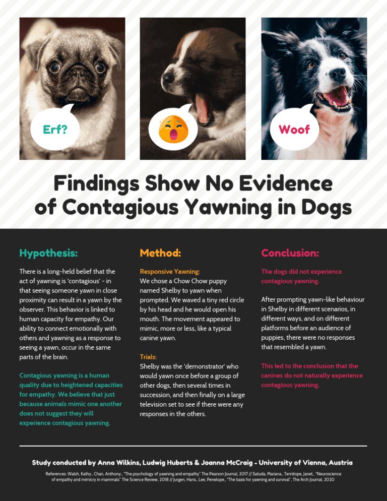 10+ Informative Research Poster Templates to Share Information - Venngage
