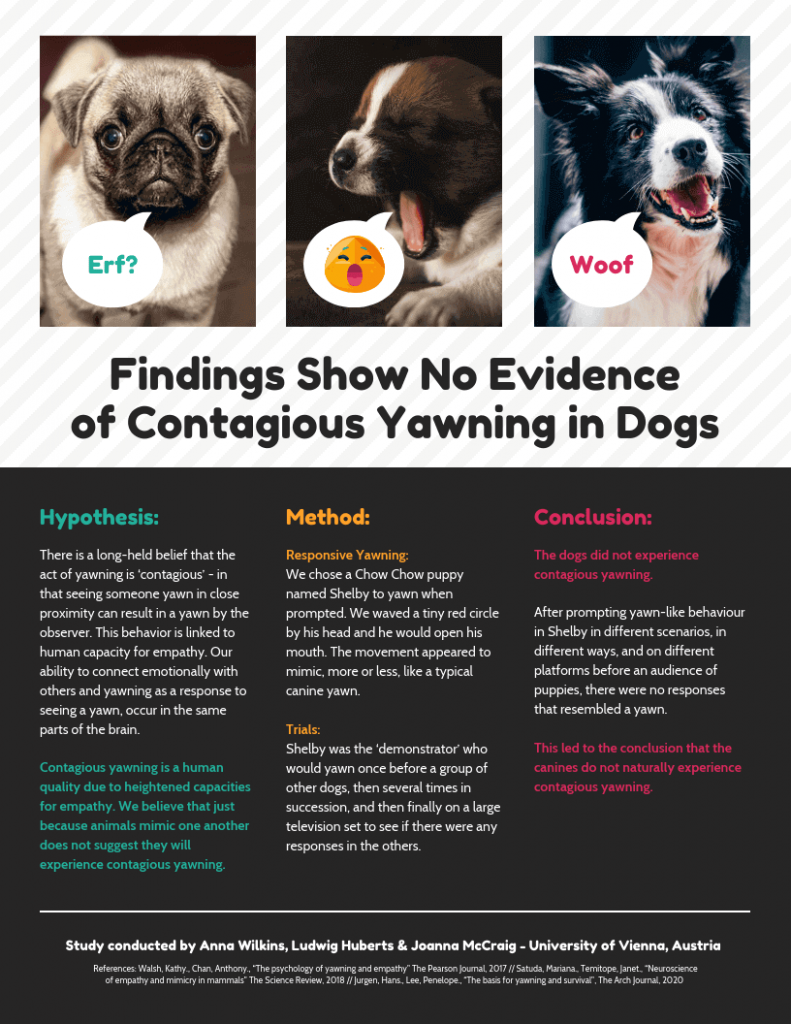 10+ Informative Research Poster Templates to Share Information - Venngage