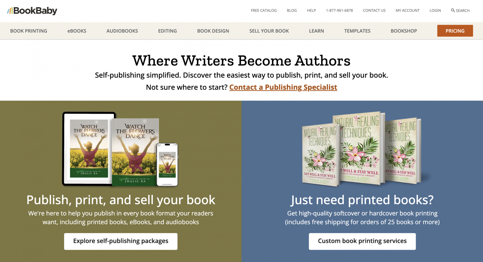 How to Sell Ebooks Online and Make Money - Venngage