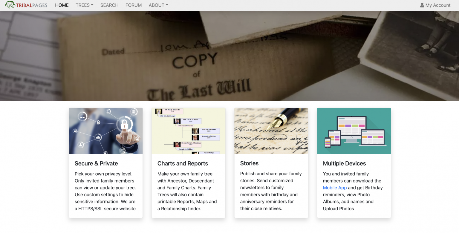12 Best Family Tree Software & Tools for 2025 - Venngage