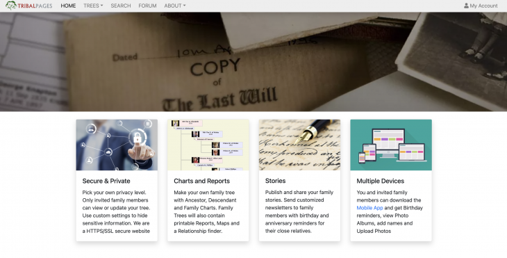 12 Best Family Tree Software & Tools for 2023 - Venngage