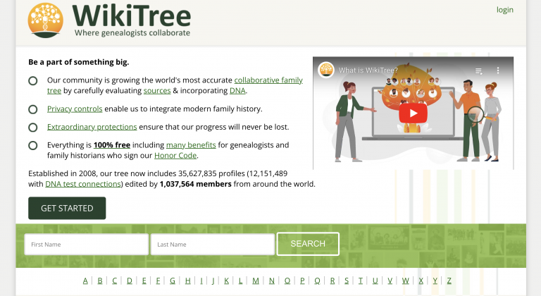12 Best Family Tree Software & Tools for 2025 - Venngage