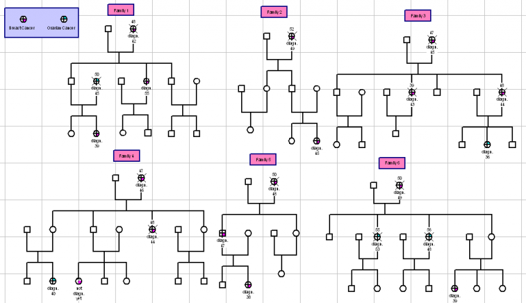 10 Genogram Examples and How-to Create Them