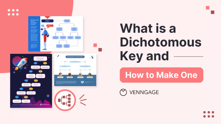 What is a Dichotomous Key and How to Make One? - Venngage