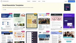 Email Banner: A Beginner's Guide with Examples - Venngage