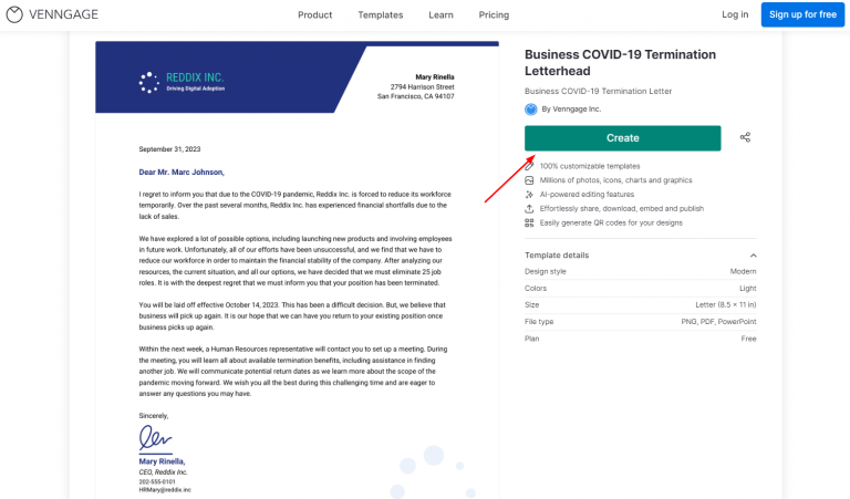 How to Create a Letterhead in Microsoft Word - Venngage