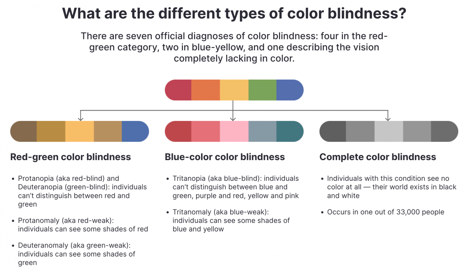 How to Create Accessible Reports: A Comprehensive Guide - Venngage