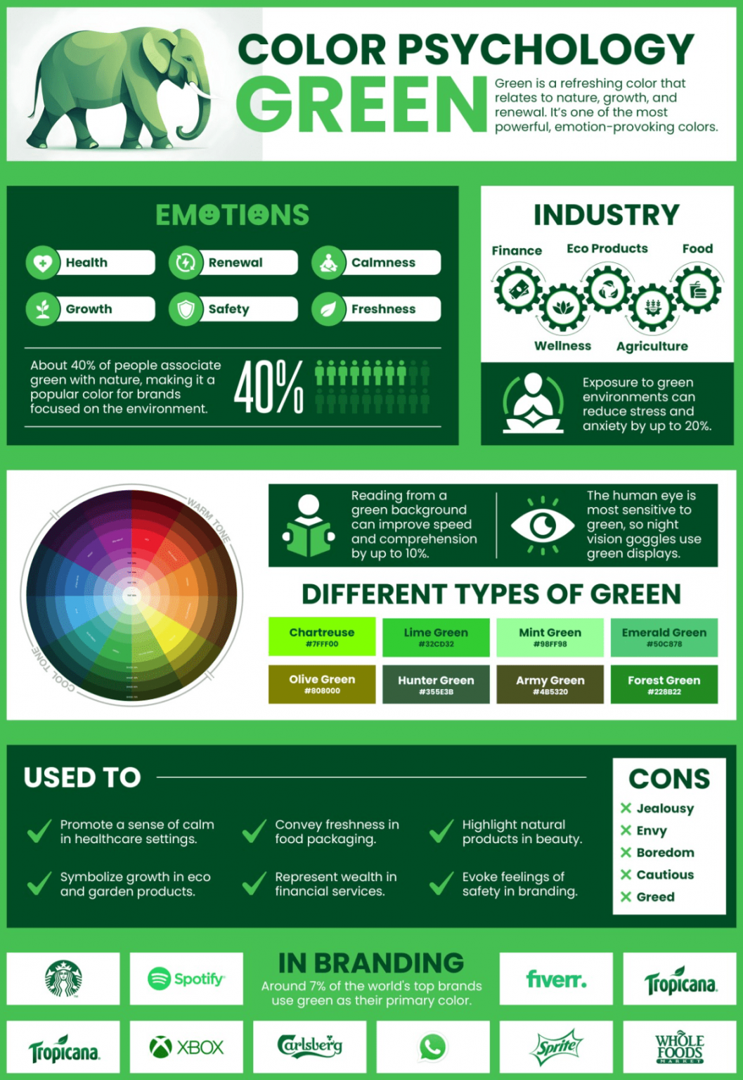 Hristo Butchvarov’s Expert Tips on Using Infographics for LinkedIn Growth