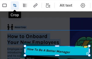 How to Create an HR Process Poster [With Infographic] - Venngage