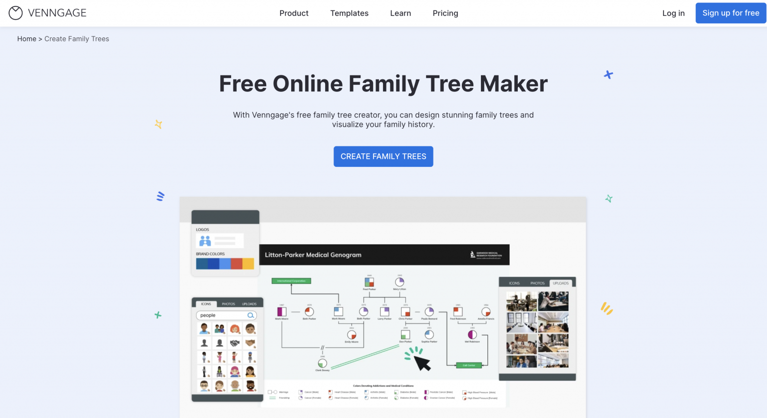 12 Best Family Tree Software & Tools for 2025 - Venngage