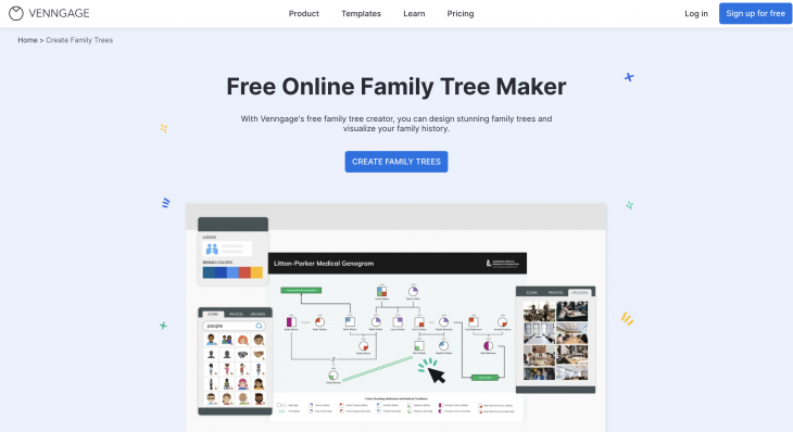 12 Best Family Tree Software & Tools for 2025 - Venngage