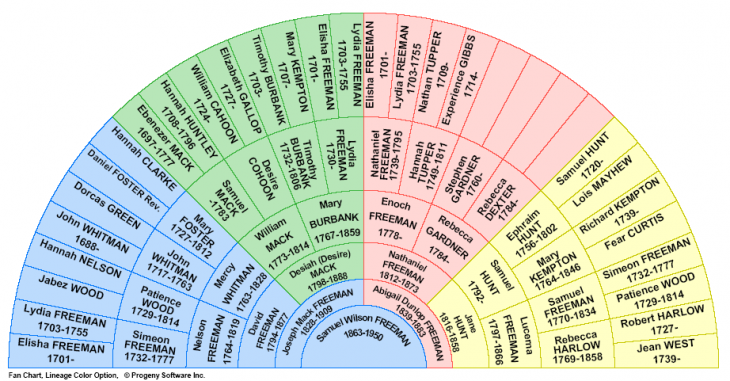 How to Make a Family Tree Diagram (+ Examples) - Venngage